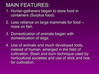 Mesolithic age | PPT