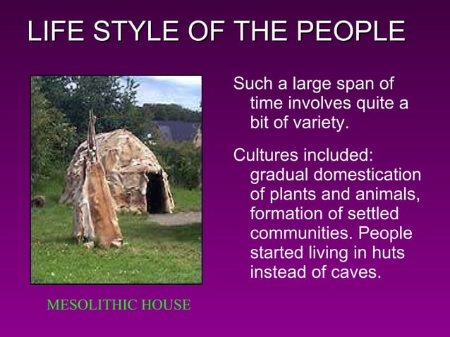 Mesolithic age | PPT | Geology | Science