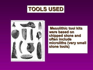Mesolithic age | PPT