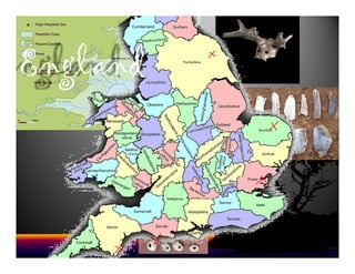 Mesolithic britain | PDF
