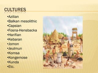 Mesolithic period | PPTX