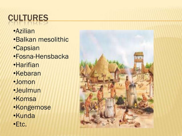 Mesolithic period | PPTX