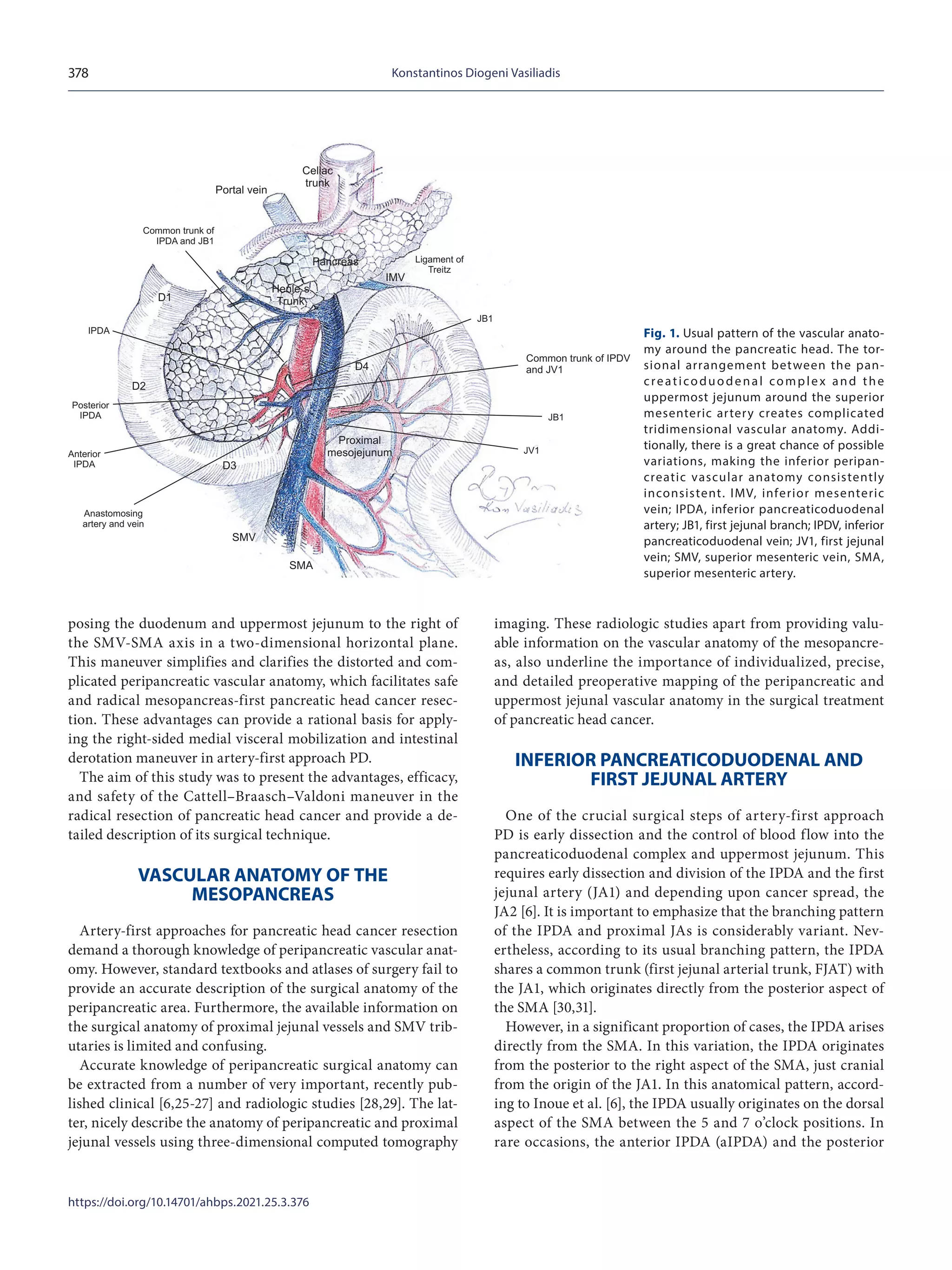 MesoPancreas First.pdf