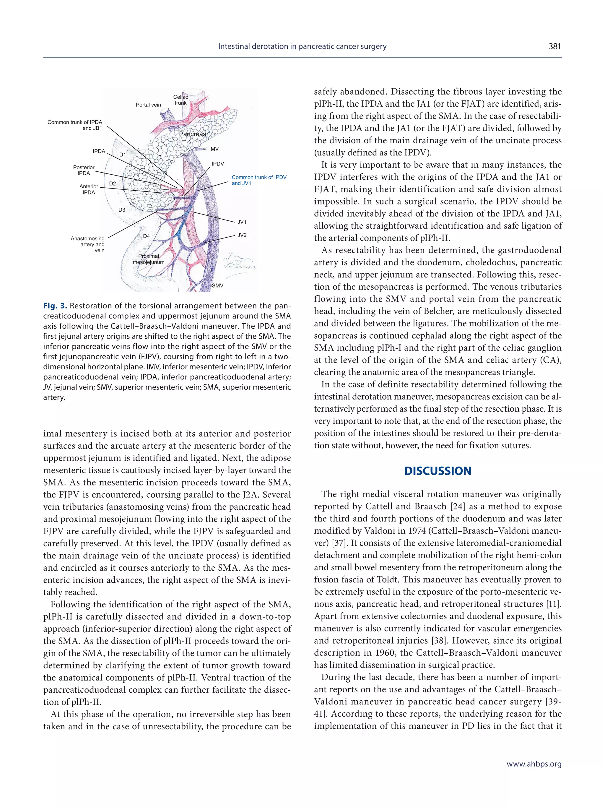 MesoPancreas First.pdf