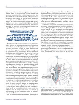MesoPancreas First.pdf