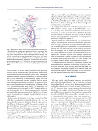 MesoPancreas First.pdf