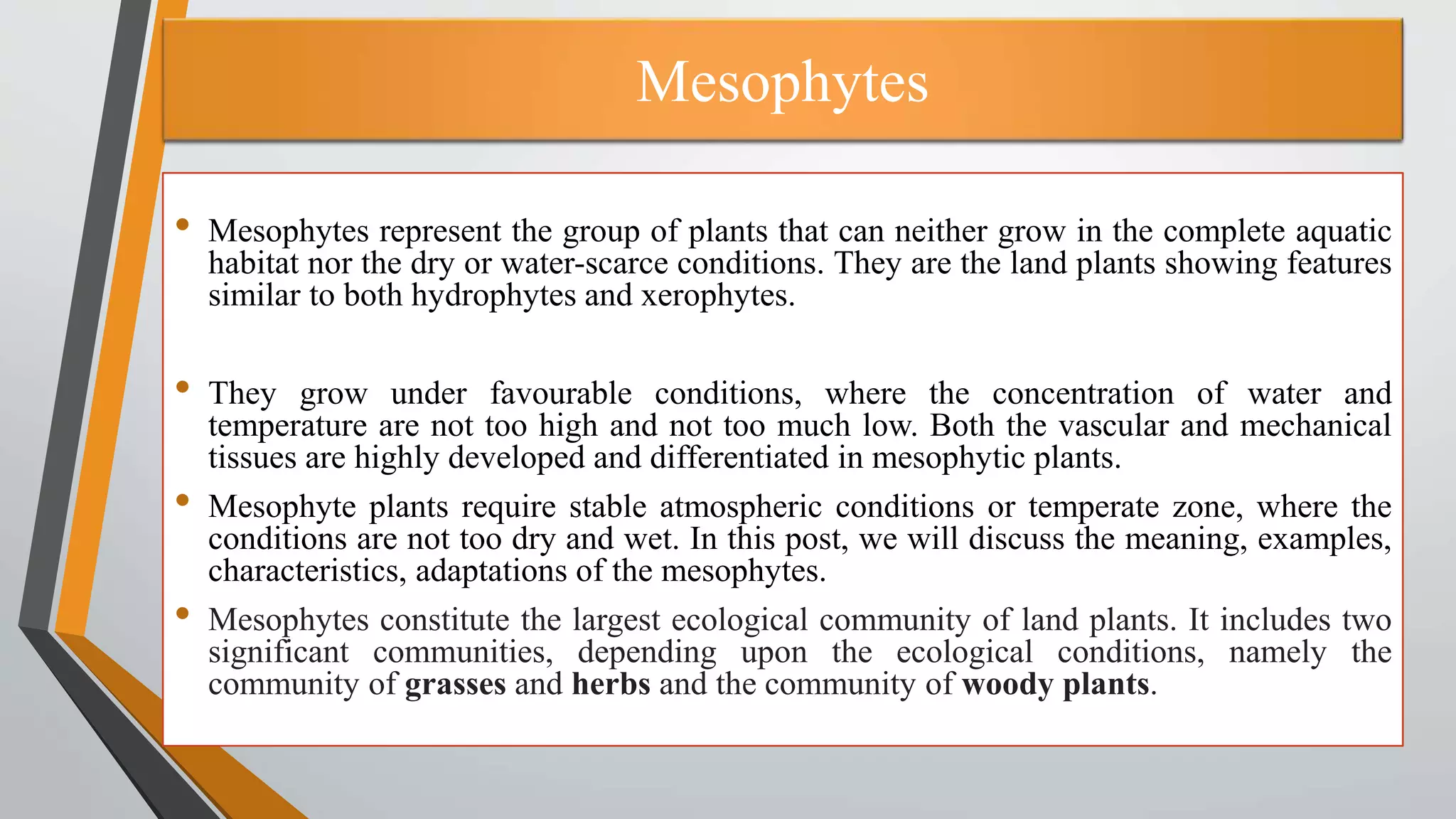 MESOPHYTES .pptx