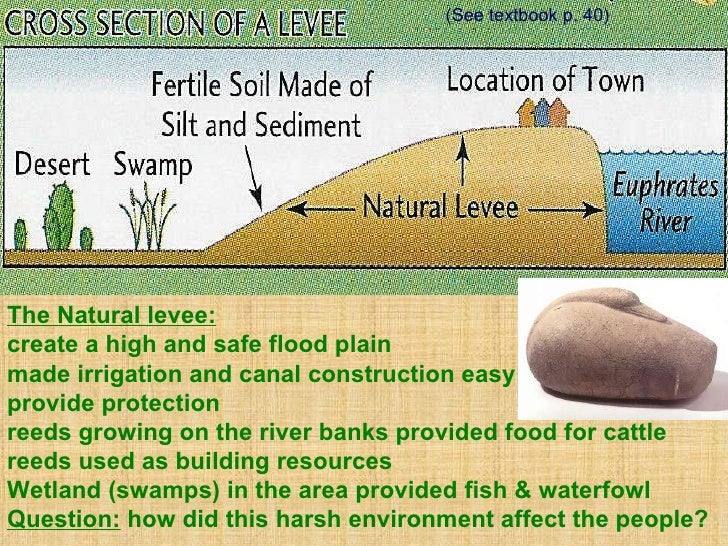 Levee In Mesopotamia