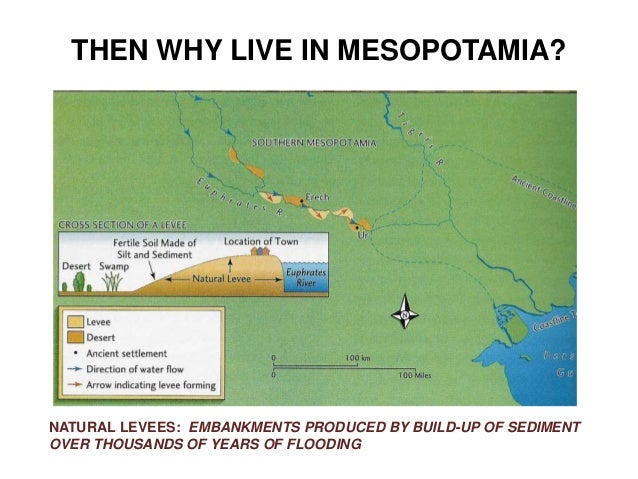 Levee In Mesopotamia