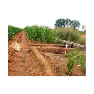 Levee In Mesopotamia