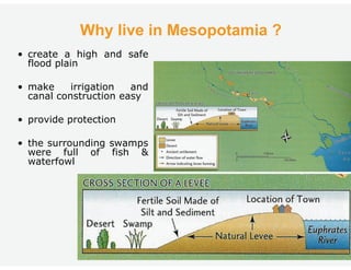 HISTORY OF MESOPOTAMIA CIVILIZATION | PDF