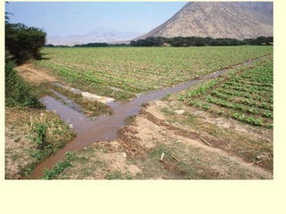 Sumerian Irrigation Systems