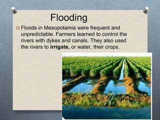Mesopotamian Civilization,sumer,akkadian,Babylonian ppt.ppt