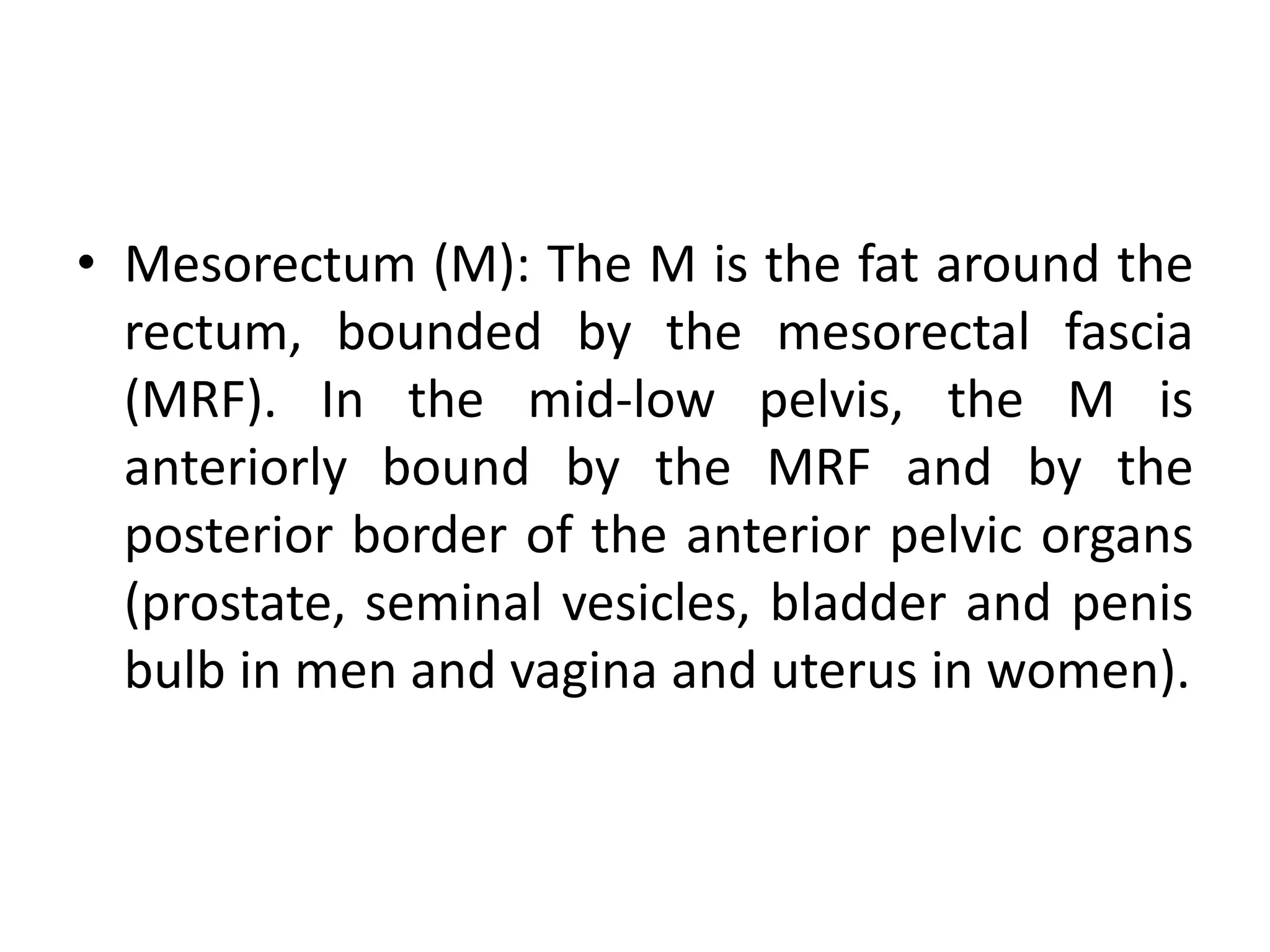 MESORECTUM TARGET DELINEATION | PPTX