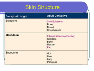 Mesotherapy in dermatology 19 may 2010 | PPT