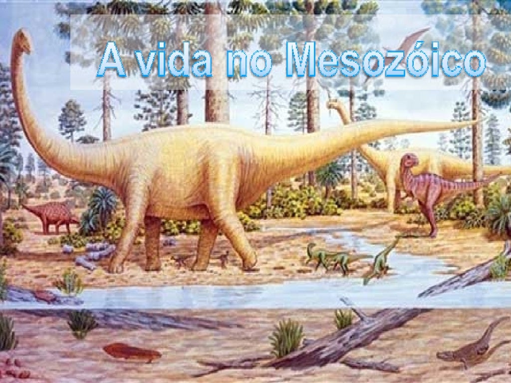 Mesozoico Etapas