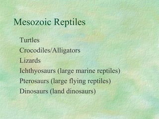 Mesozoic | PPT