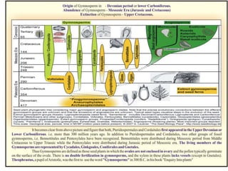 M. Sc. I Semester Botany mesozoic (2).pptx
