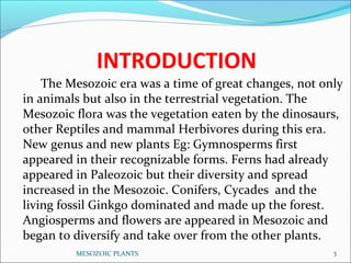 Mesozoic plants | PPT