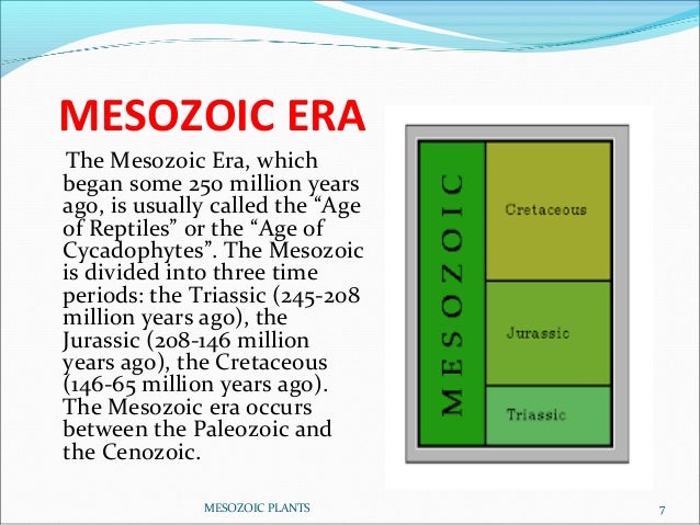 Mesozoic Era Definition Facts Timeline Plants Questions And