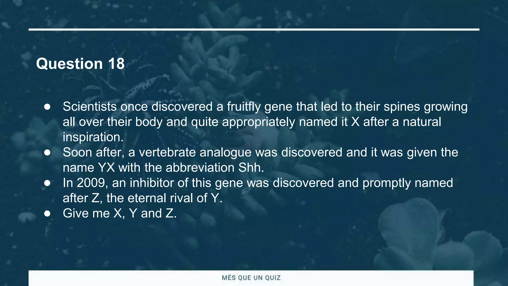 Mes que un quiz -General Quiz | PPT