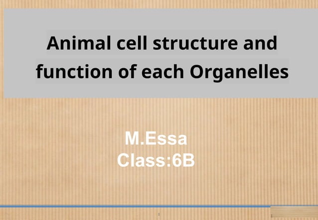 Animal cell introduction for six grade students | PPTX