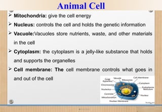 Animal cell introduction for six grade students | PPT