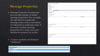 Message properties in Mule | PPSX