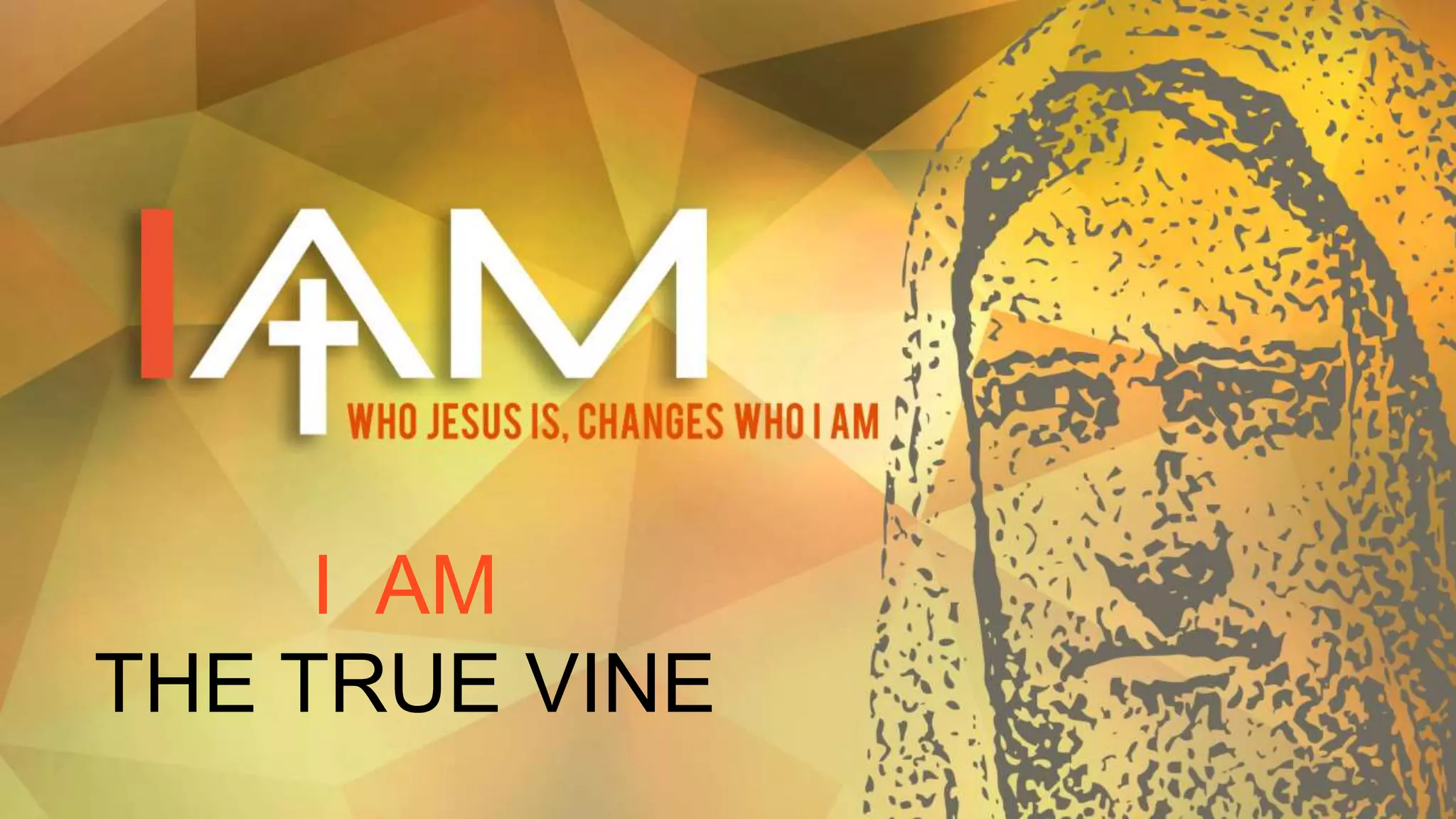 Message Series - I AM - Part 4 - I AM The True Vine - Pastor Chuck ...