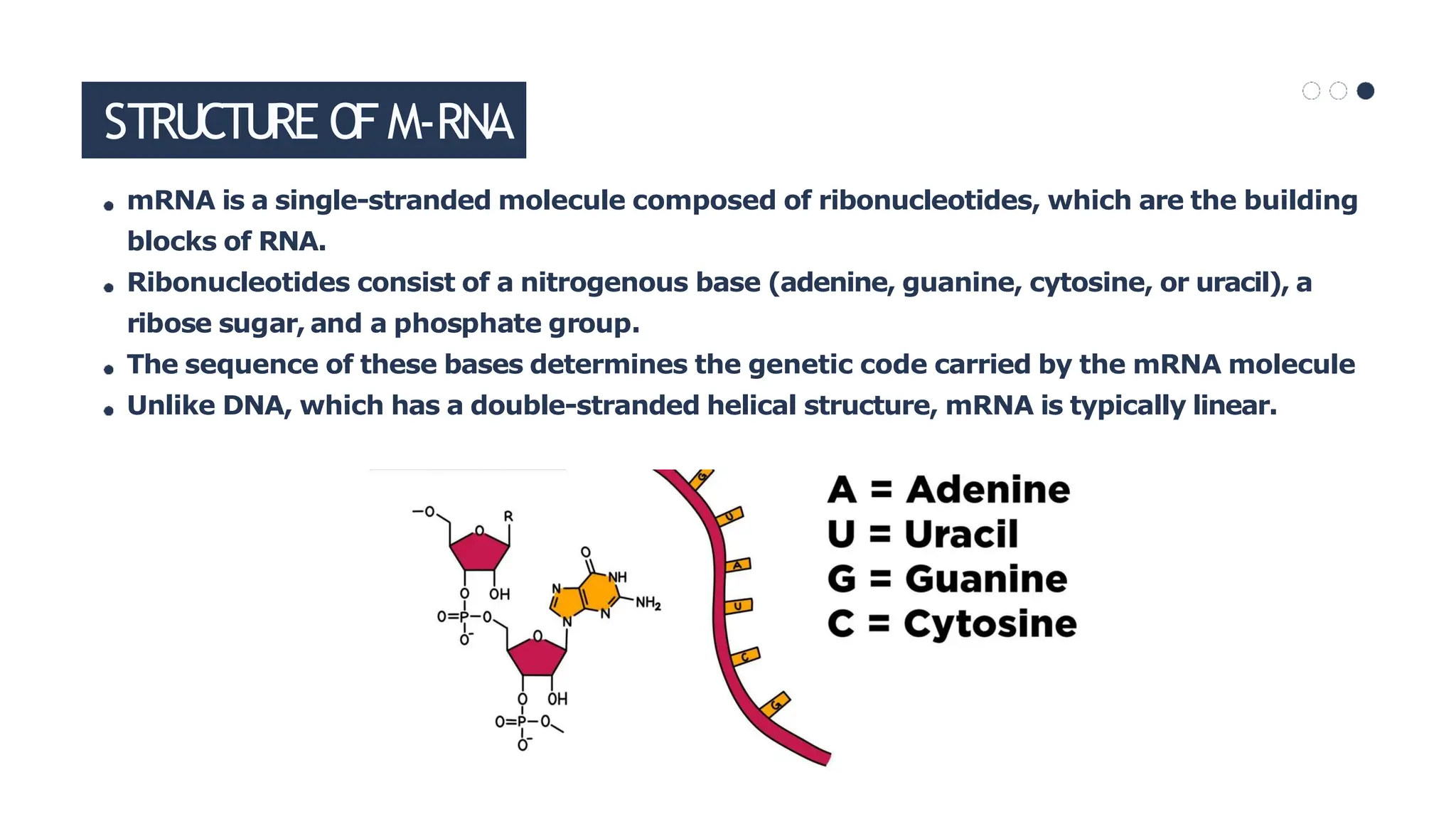 Messenger-RNA_Medical Genetics(Gowtham-403)_20240331_190147_0000.pptx