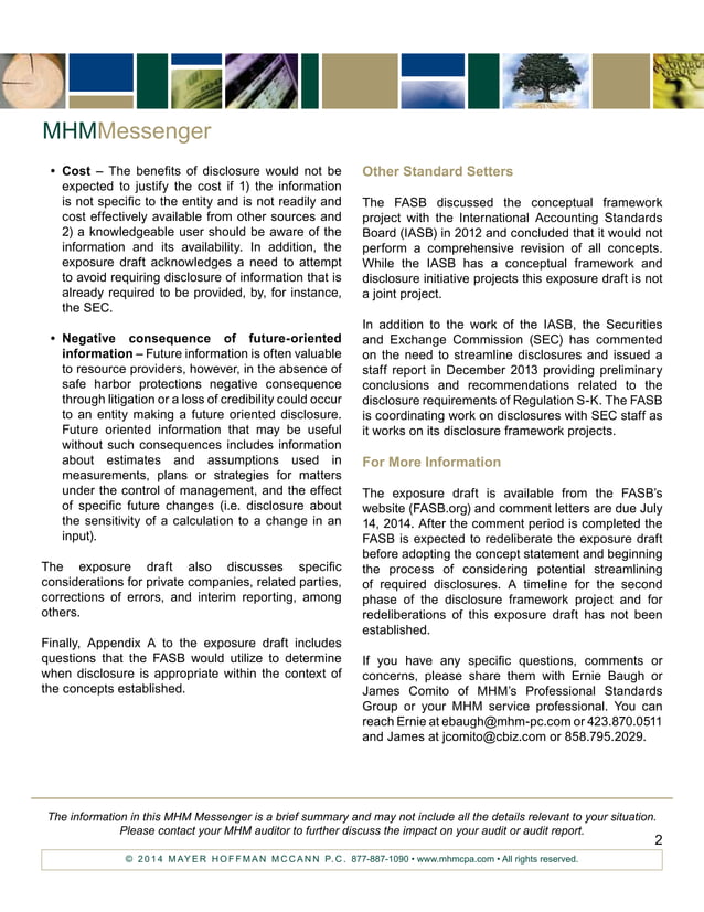 Streamlining Financial Statement Disclosures | PDF Streamlining Financial Statement Disclosures | PDF