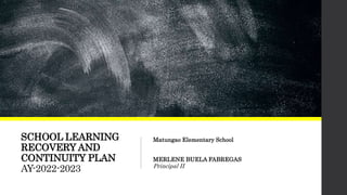 MES_SLRP-PresentationFINAL.pptx