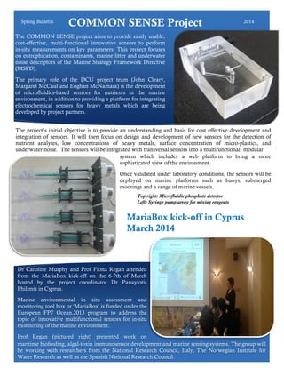 Mestech spring bulletin | PDF