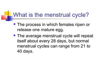Mestrual cycle in humans | PPT