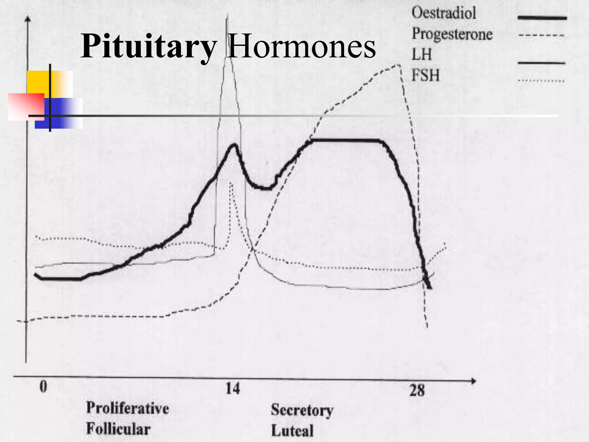 Mestrual cycle PPT.ppt