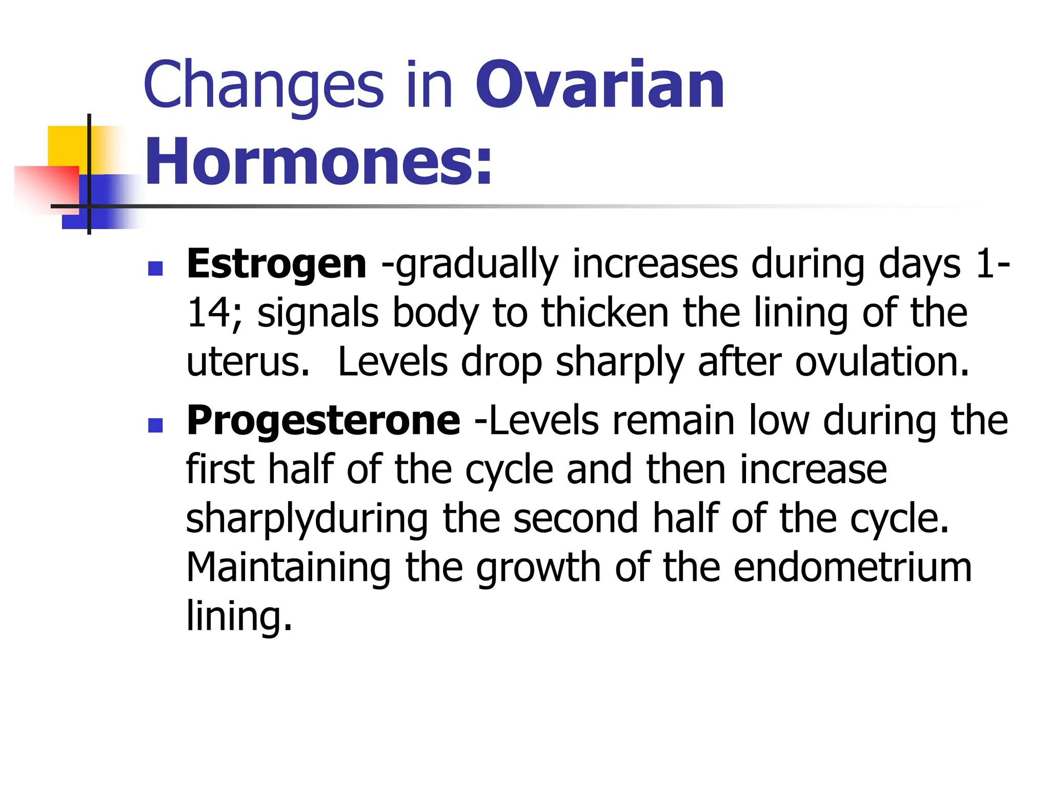 Female Reproductive System Menstrual Cycle Ppt
