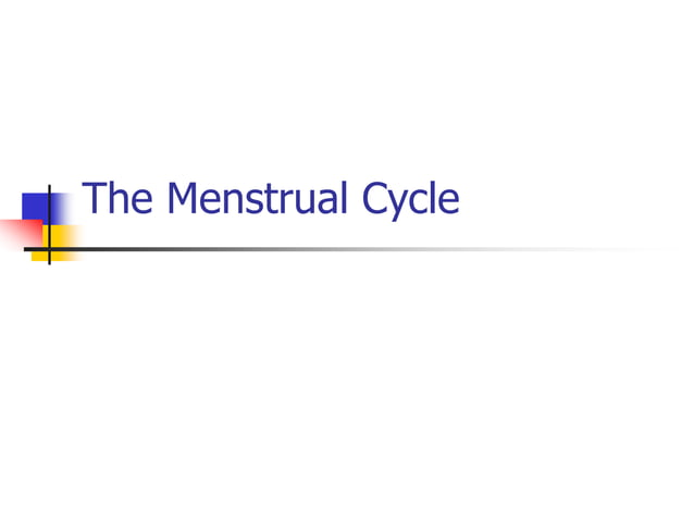 Female Reproductive System Menstrual Cycle Ppt