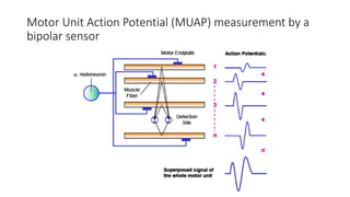 Mesurment of Electromyoghraphy(EMG) .pdf