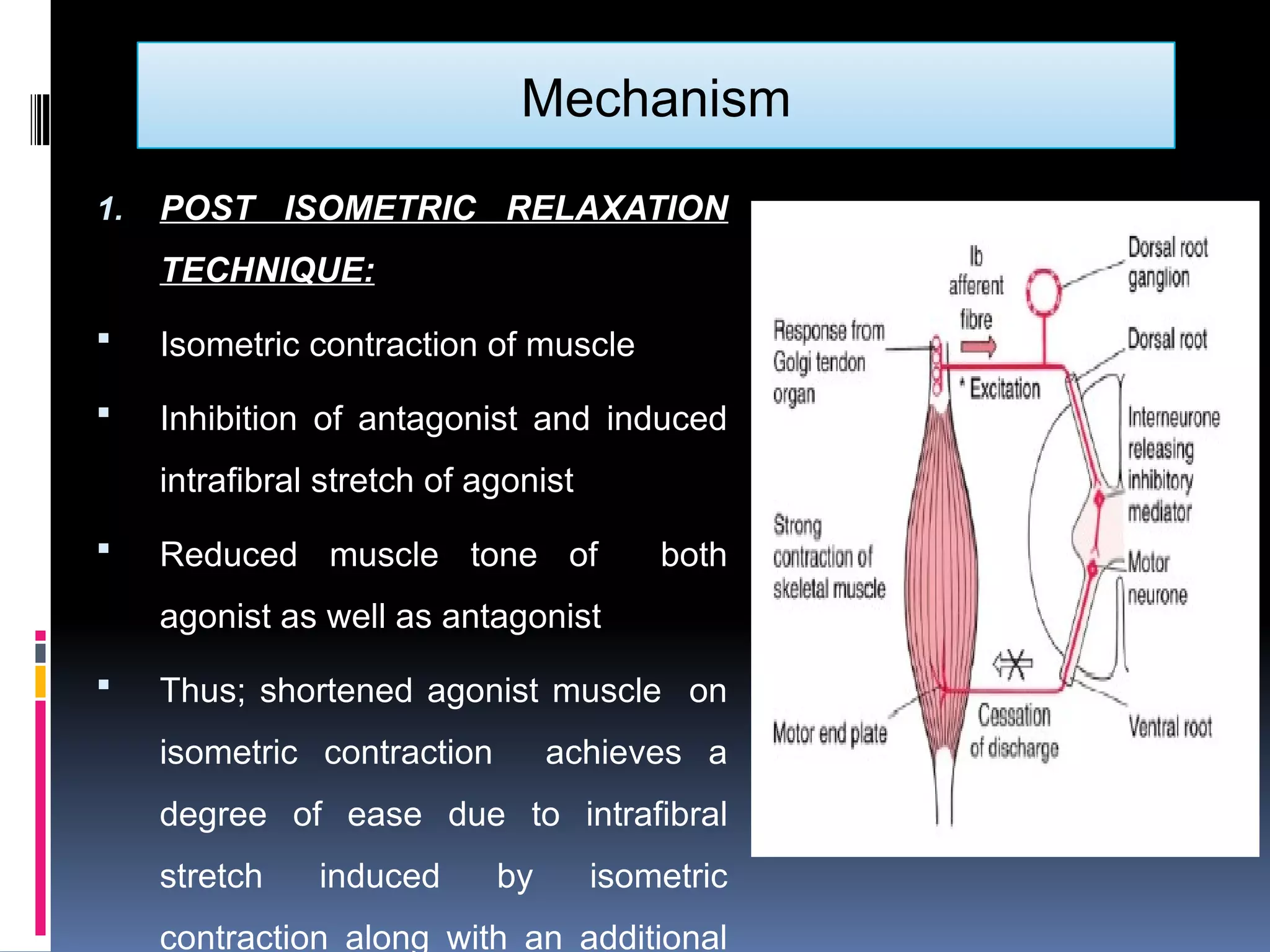 MET: Muscle Energy Technique | PDF