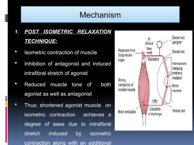 MET: Muscle Energy Technique | PDF | Physical Therapy | Wellness