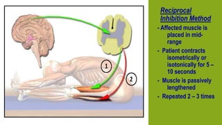 MET.ppt | Physical Therapy | Wellness