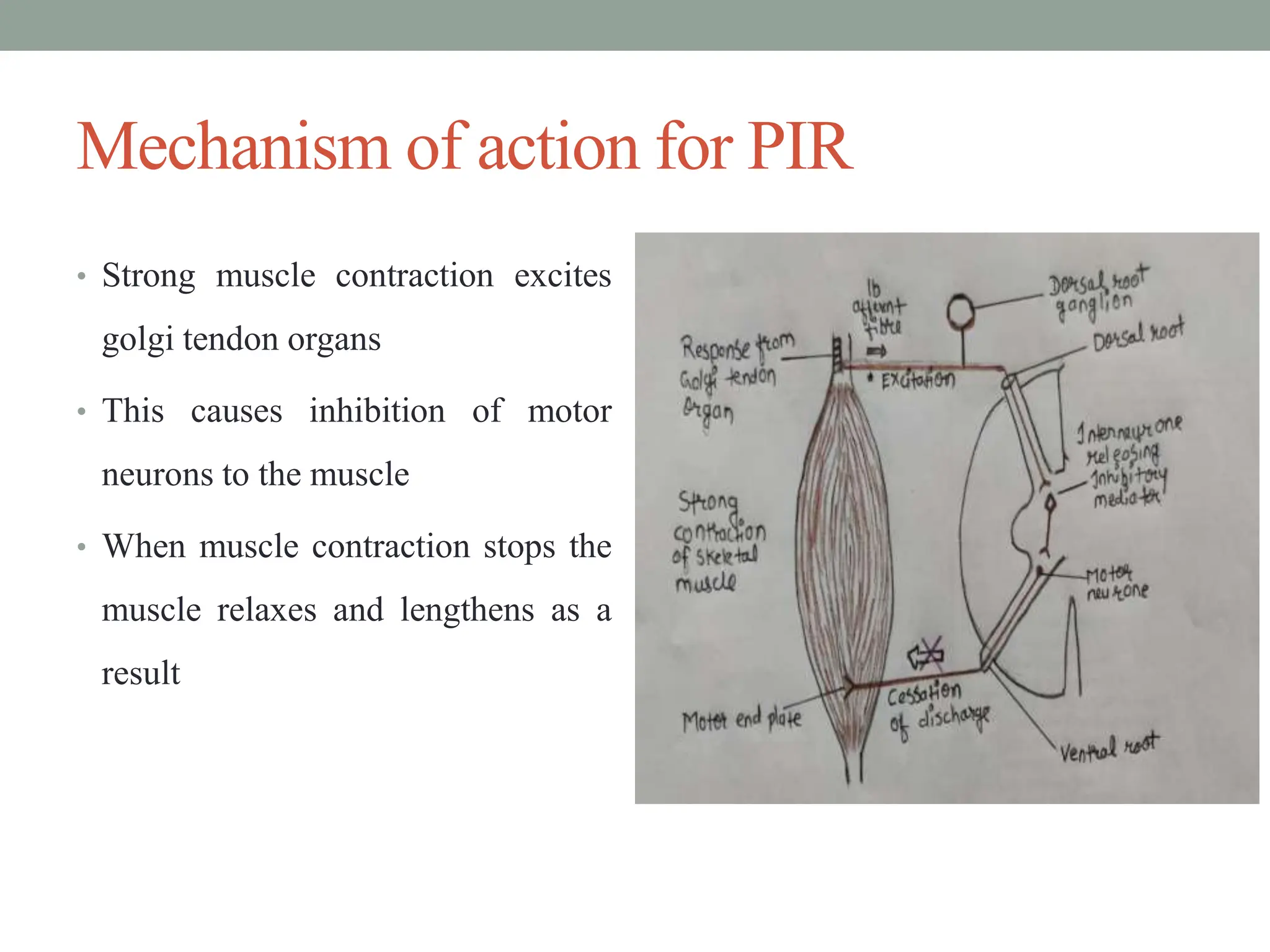 Muscle Energy Technique (MET)....Ppt new | PPTX