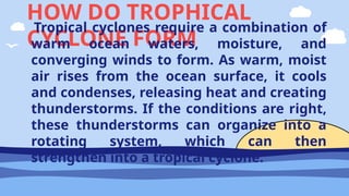 METeorology and Oceanography, tropical Cyclones | PPTX