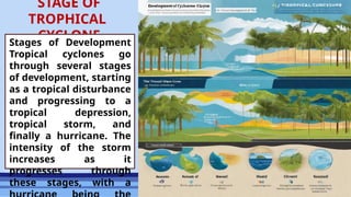 METeorology and Oceanography, tropical Cyclones | PPT