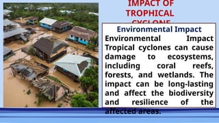 METeorology and Oceanography, tropical Cyclones | PPTX