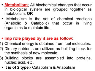 Metabolism | PDF