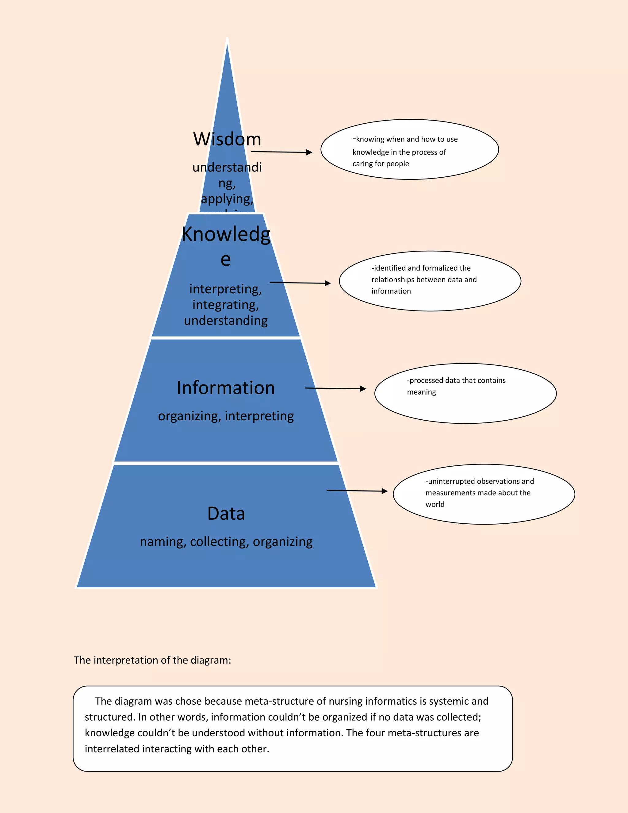 Meta structure of nursing informatics | DOCX
