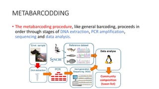 METABARCODDING.pptx