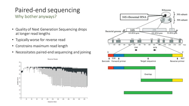 Metabarcoding QIIME2 workshop - Denoise | PDF
