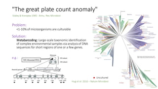 Metabarcoding QIIME2 workshop - Denoise | PDF